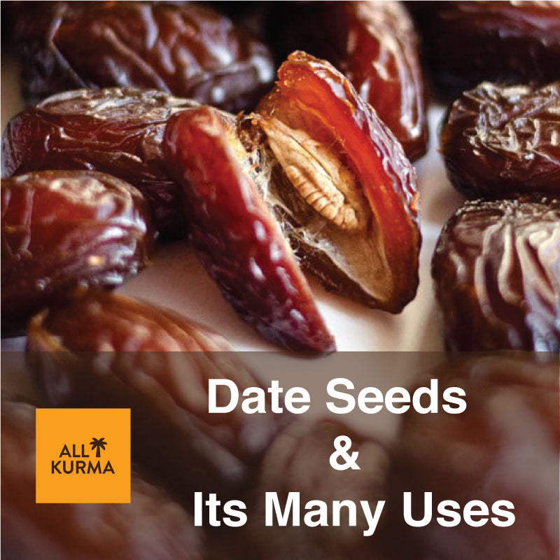 Date Seeds and its Many Uses | All Kurma Singapore